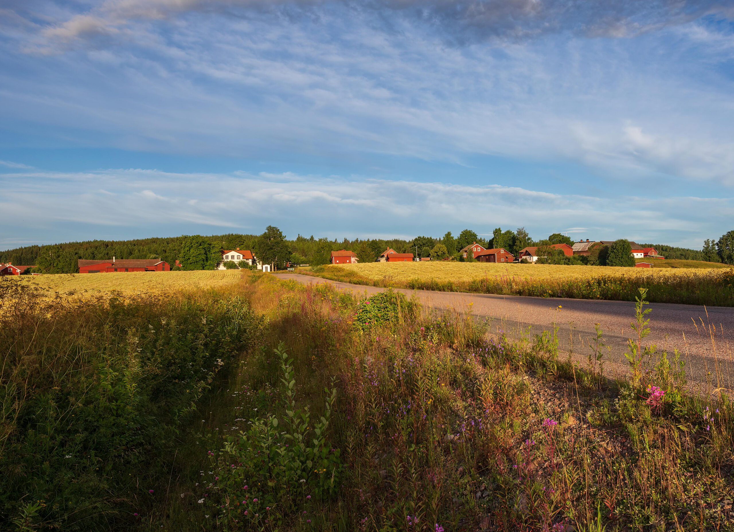 Mark och tomter för småhus - Hedemora kommun